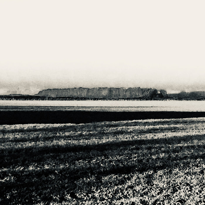 Live at the Oak (Limited Time available) | blomi