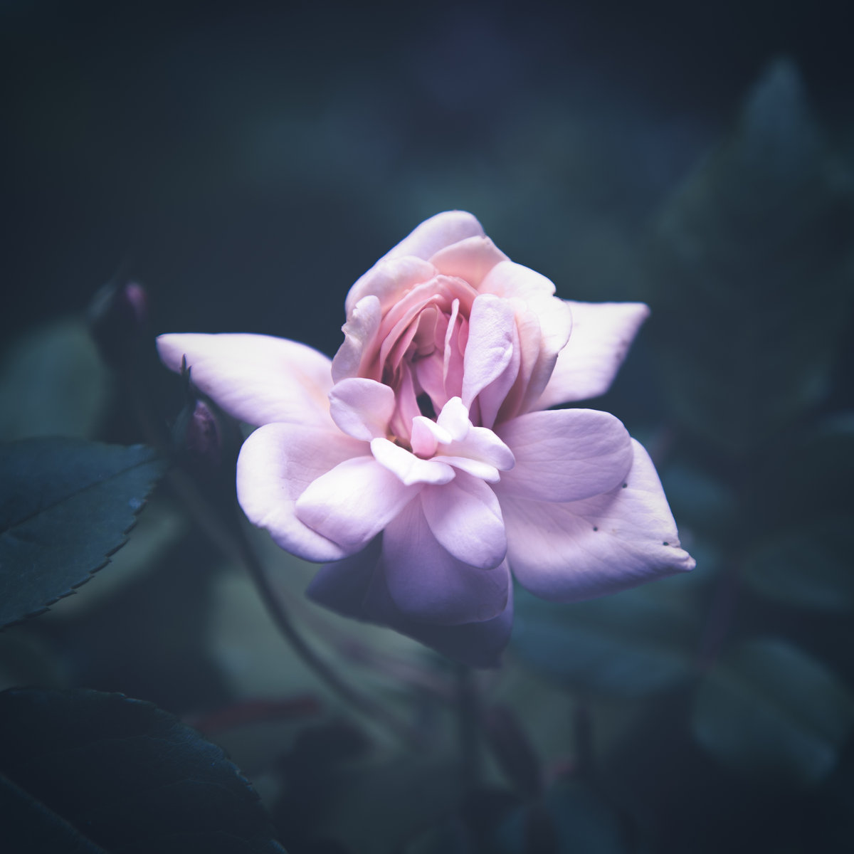 Heartache EP - Stay | Eden Hendry