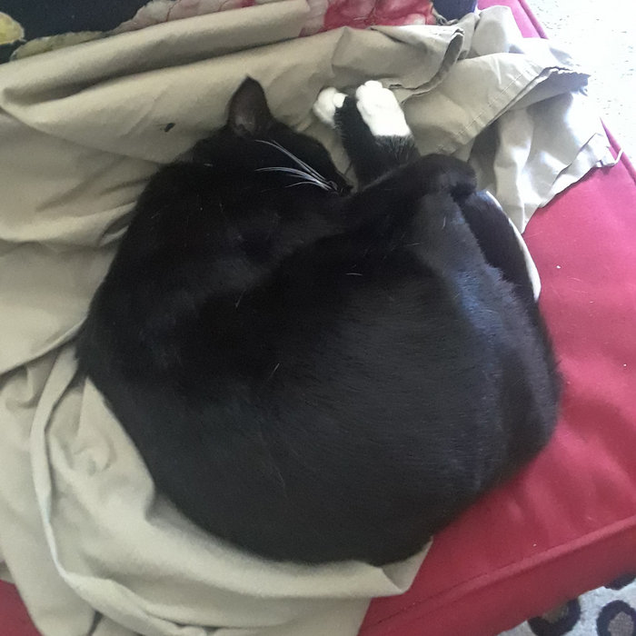 saturday jams | Brandon Solis