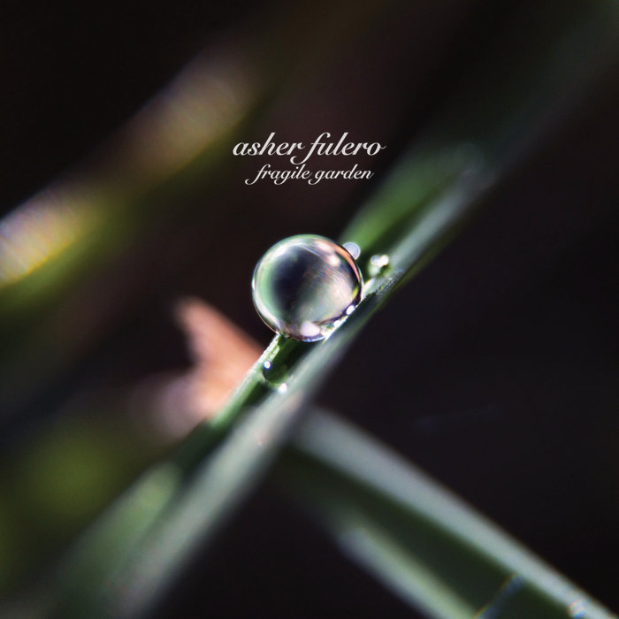 Fragile Garden | Asher Fulero