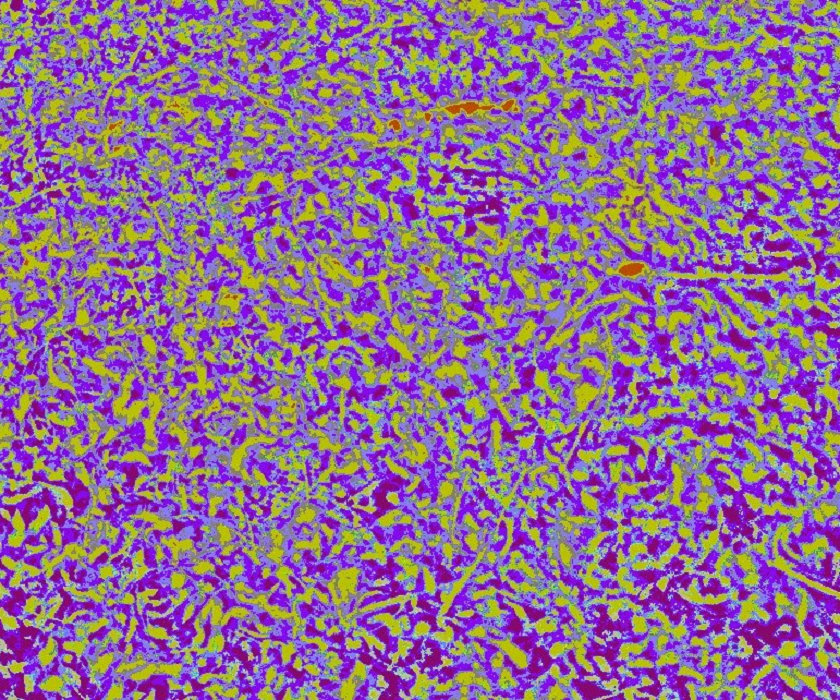 Compilation 1 | Draethos