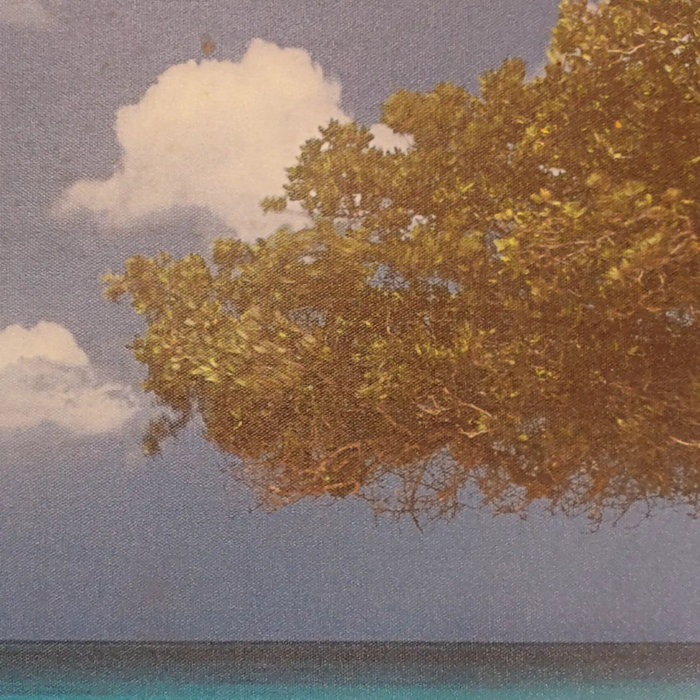 New Stitches | Matt Christensen