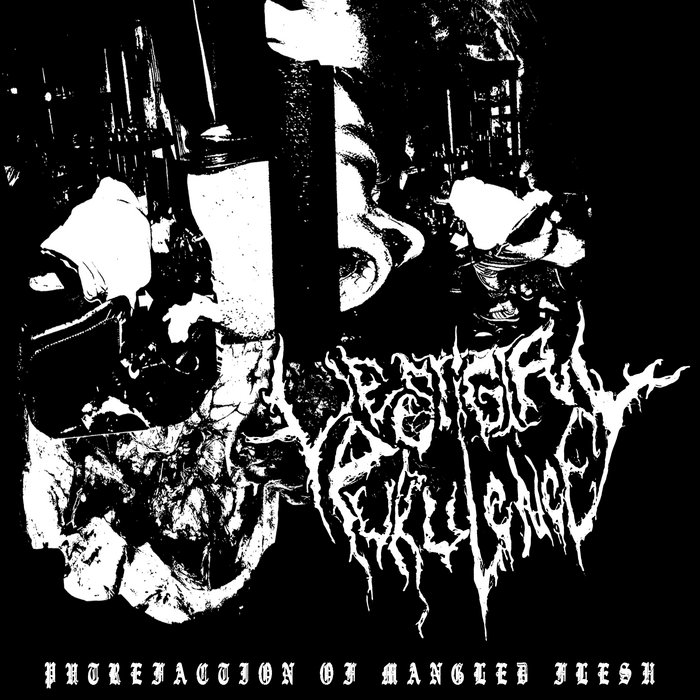 Putrefaction of Mangled Flesh | Vestigial Purulence