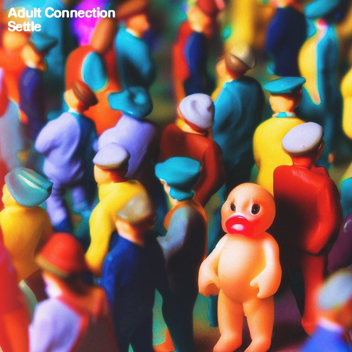 Adult Connection | SETTLE