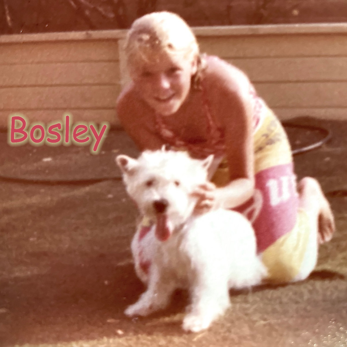 Bosley (1993) | Dave Bolle