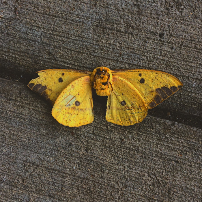 Difficult/Josephine | Cryoming