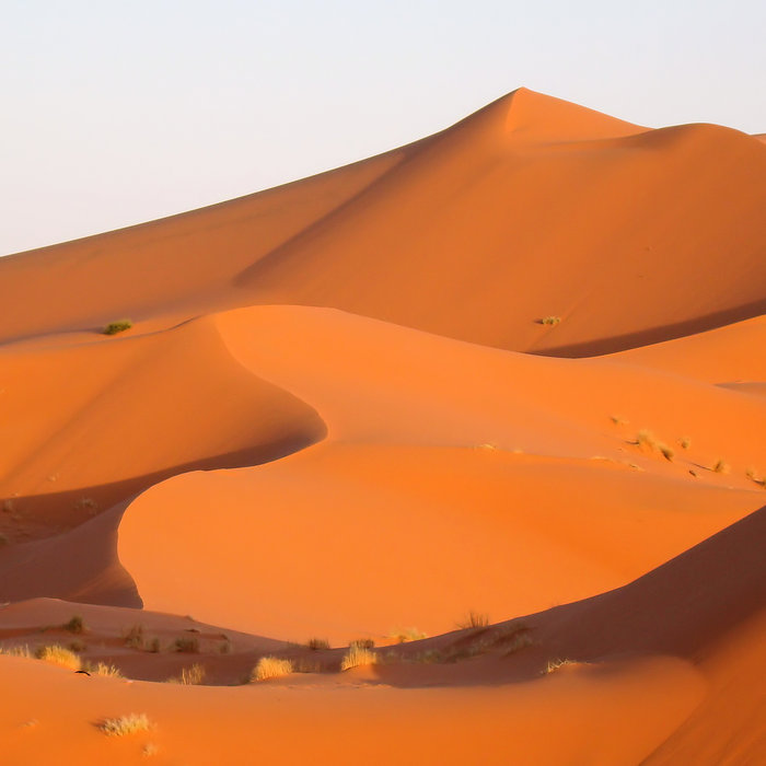Drifting Sands | Dwoogie