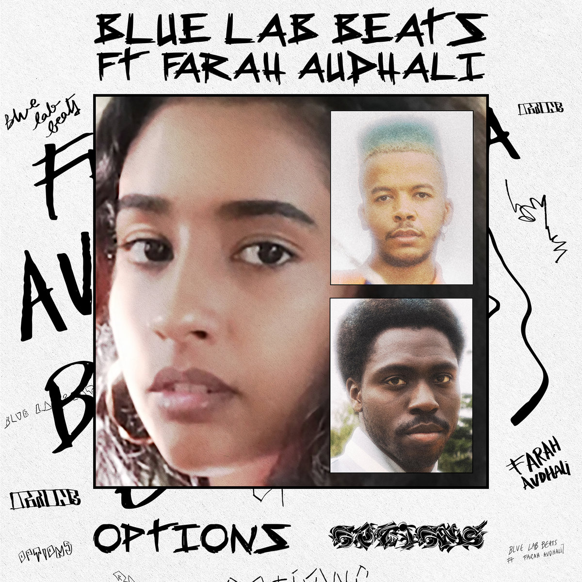 Options | Blue Lab Beats