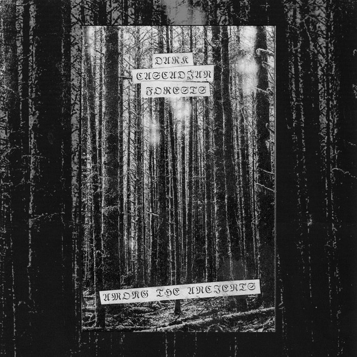 Among the Ancients | Dark Cascadian Forests | Froth
