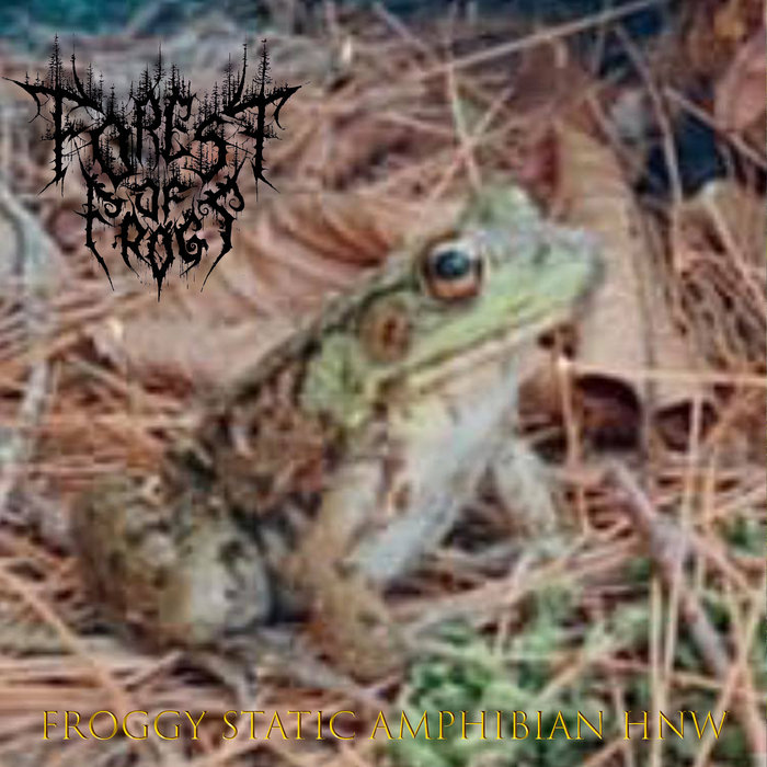 Froggy Static Amphibian Harsh Noise Walls | Forest of Frogs