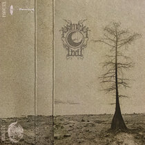 Black Country | Stump Tail Dolly