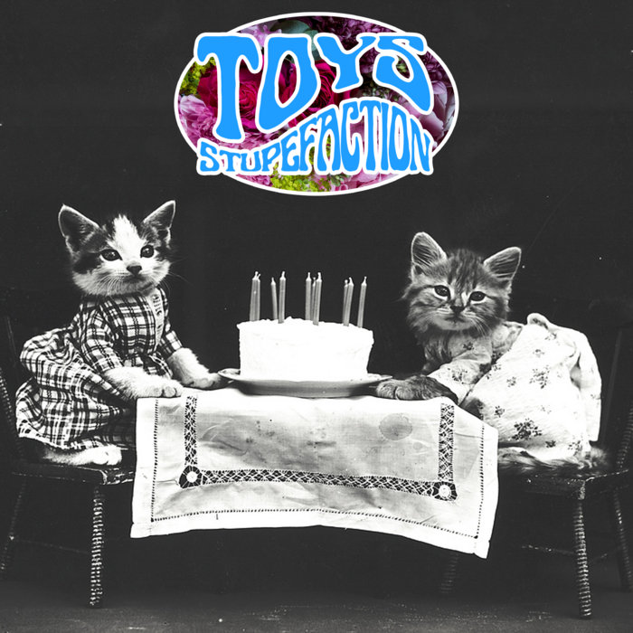 Stupefaction | Toys