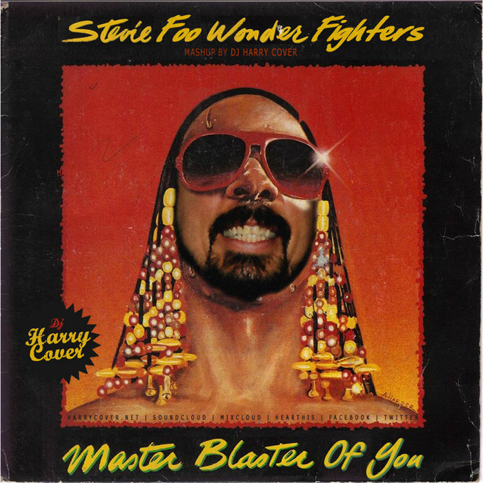 Stevie Wonder Vs. Foo Fighters - Master Blaster Of You (Dj Harry Cover ...