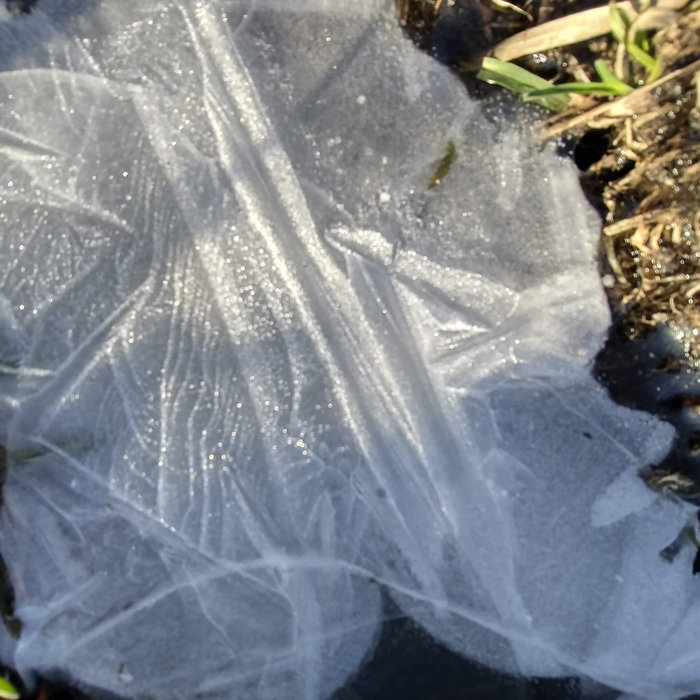 Drinking The Dregs | Paradox Encounter Group | Xemporium