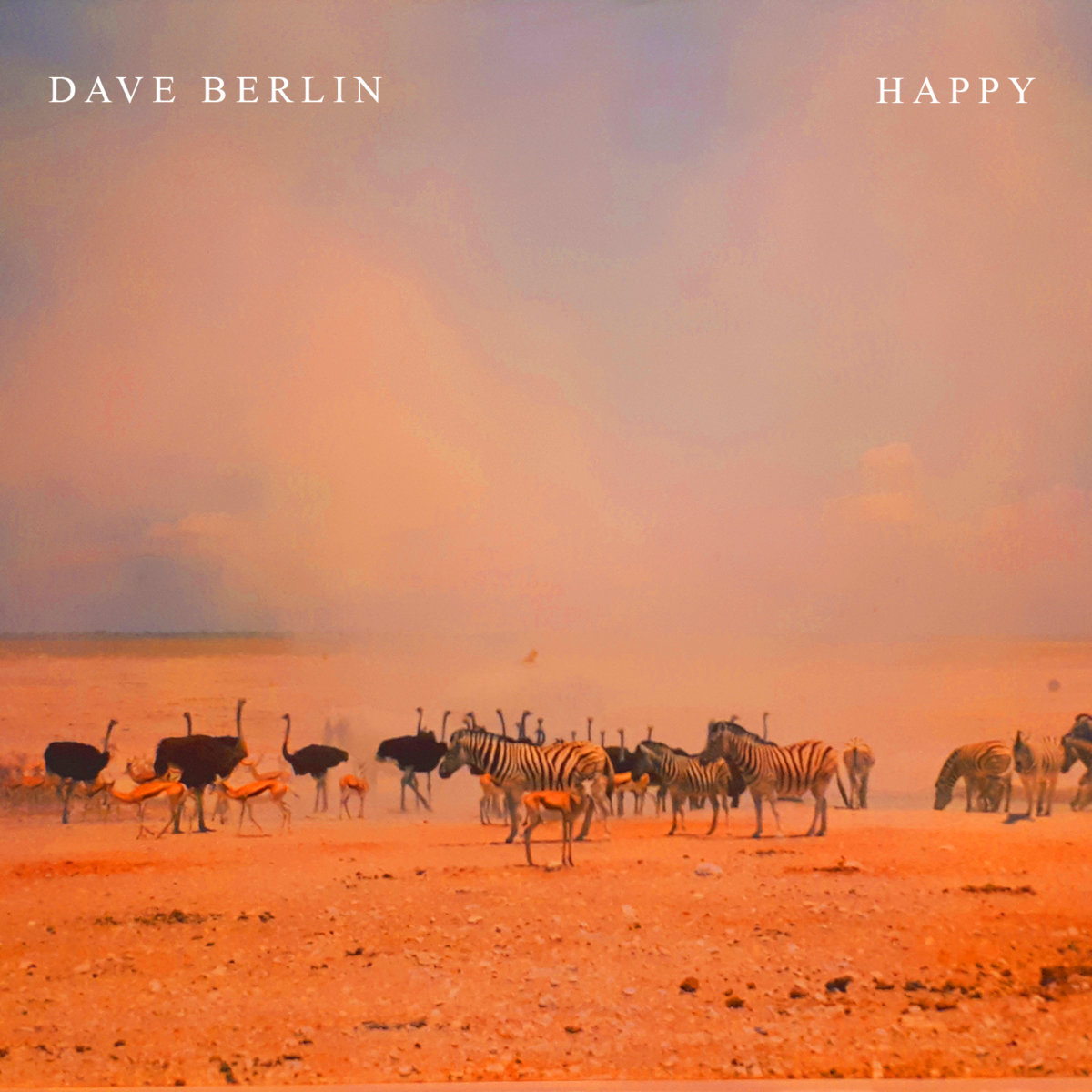 Happy | Dave Berlin