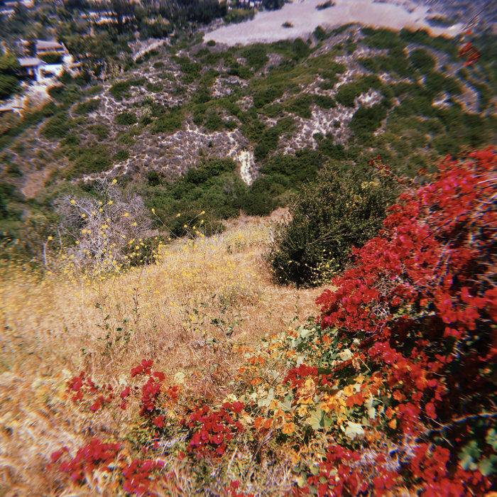 unmastered demos | Venous Hum