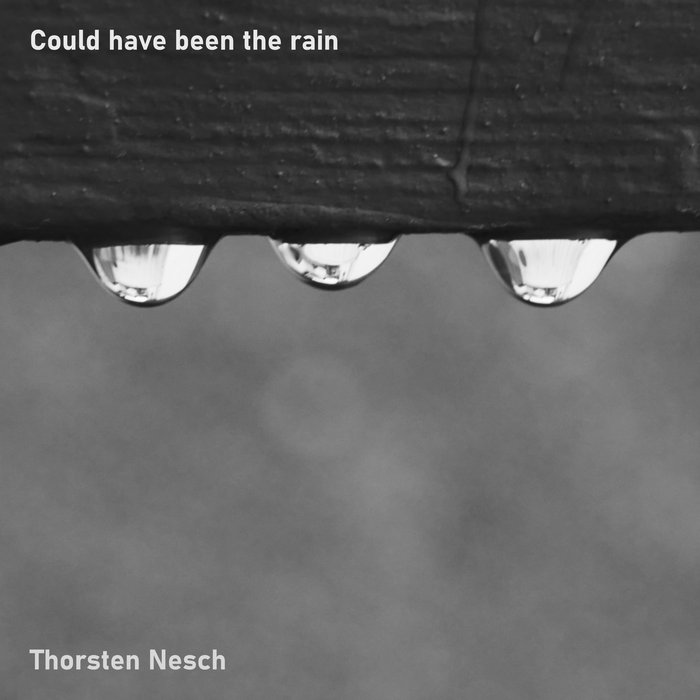 Could have been the rain | Thorsten Nesch