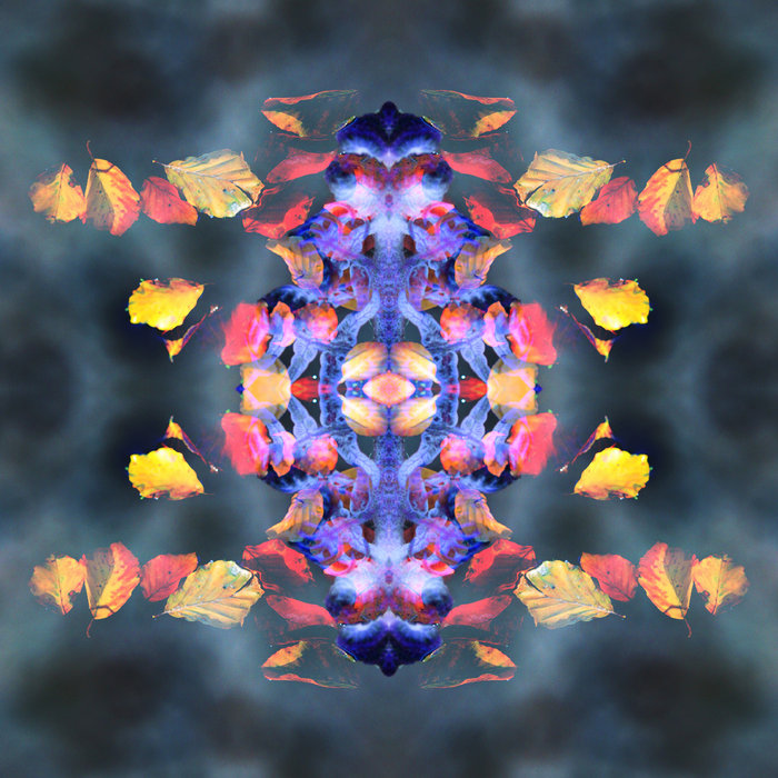 Mystified Shadows | DTime