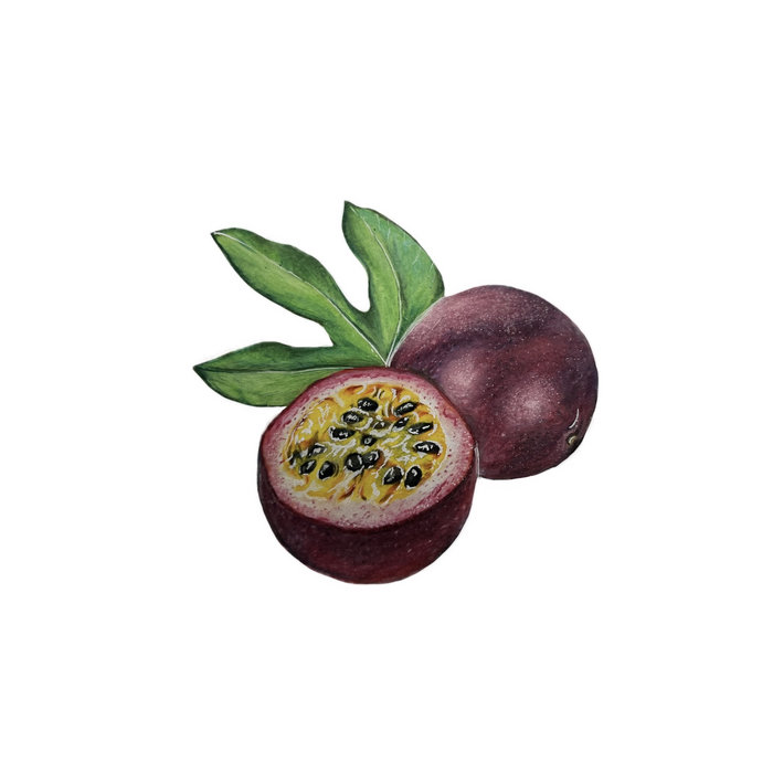 Passion Fruit | Wizard Skin