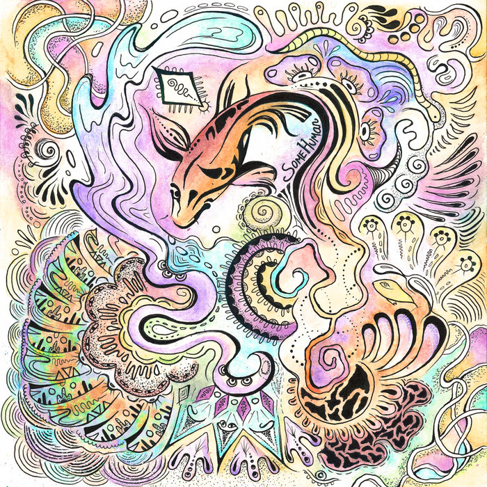 Fish Driving Cars | some Human