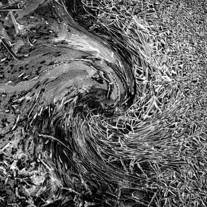 Whorl | Daniel Menche