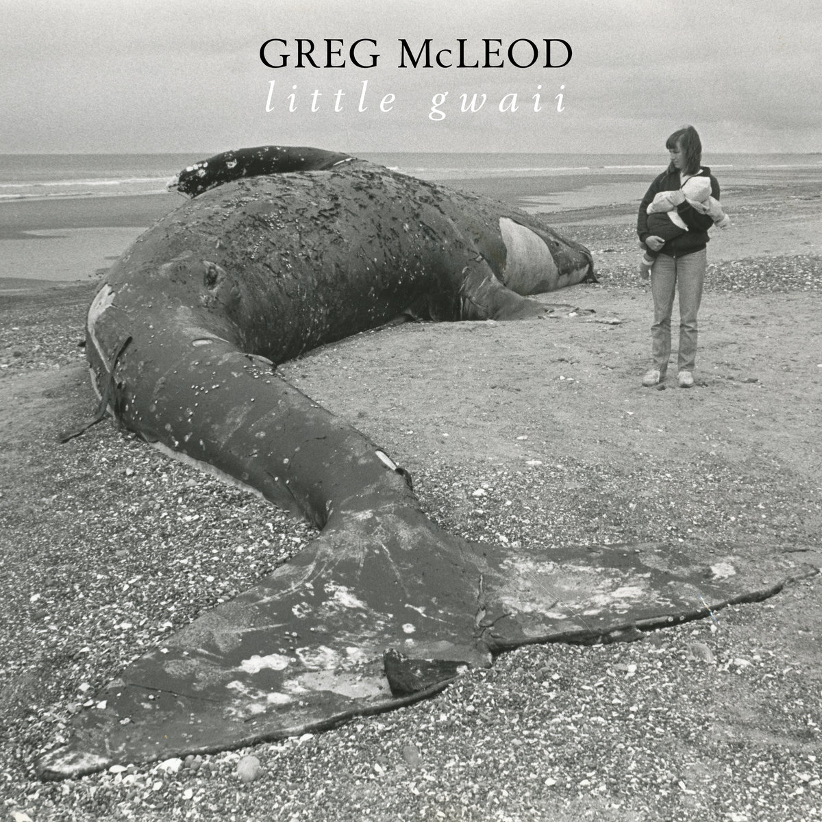 Little Gwaii | Greg McLeod