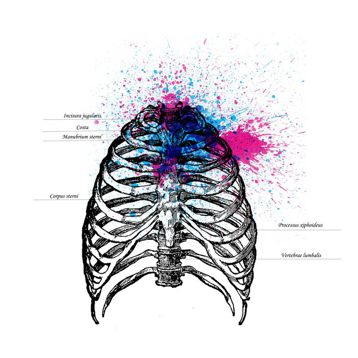 Corpus sterni | 70 cm³ of Your Chest