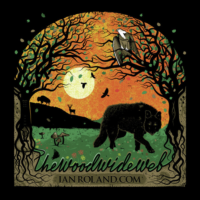 The Wood Wide Web | Ian Roland