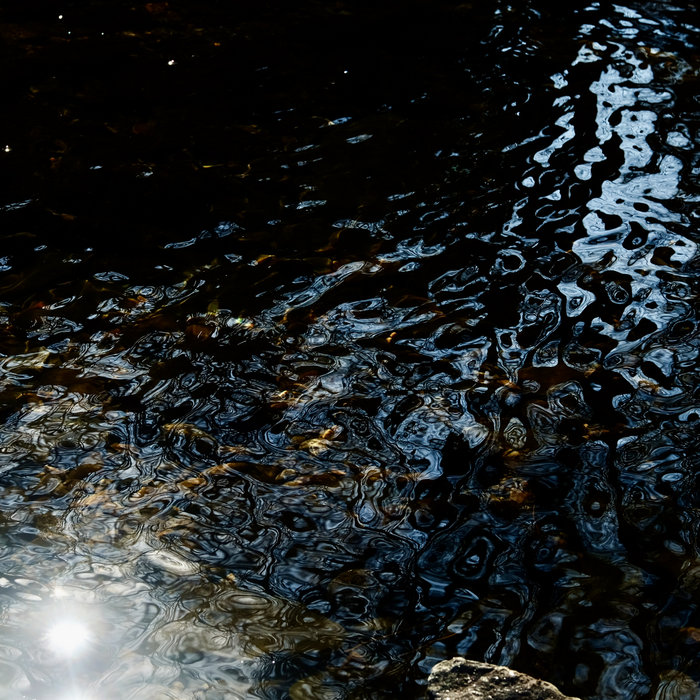 Unseen Beings | C.Chambers