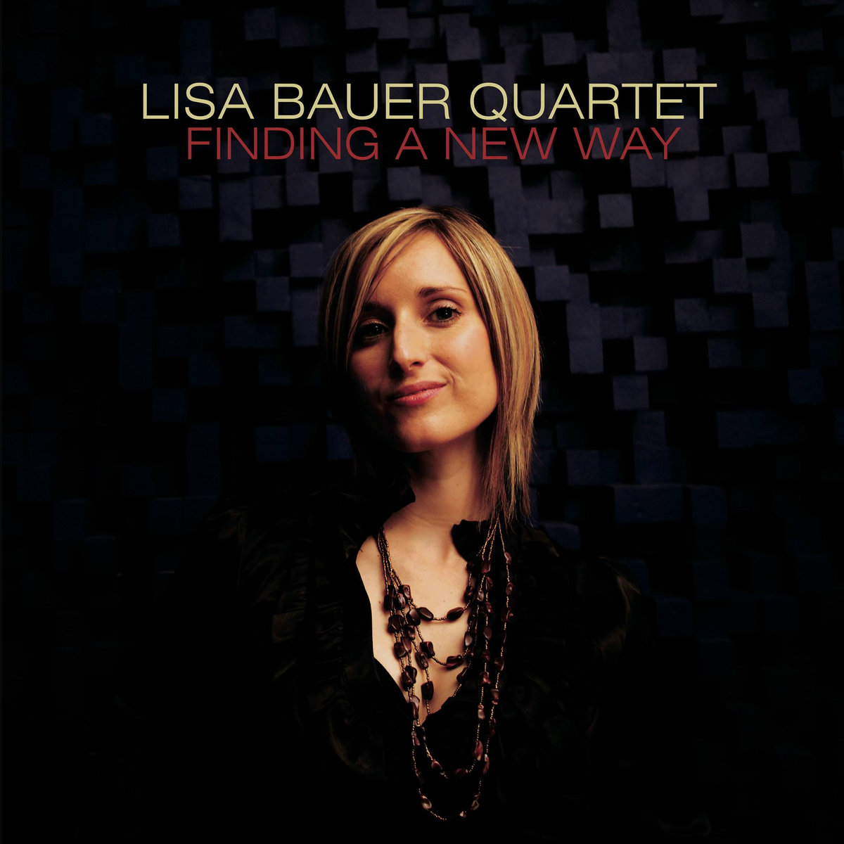Finding A New Way | Lisa Bauer