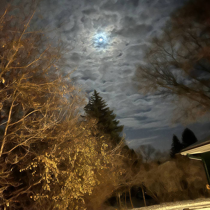 Dance by the Light of the Moon by Terry Ransom | Fred Grittner