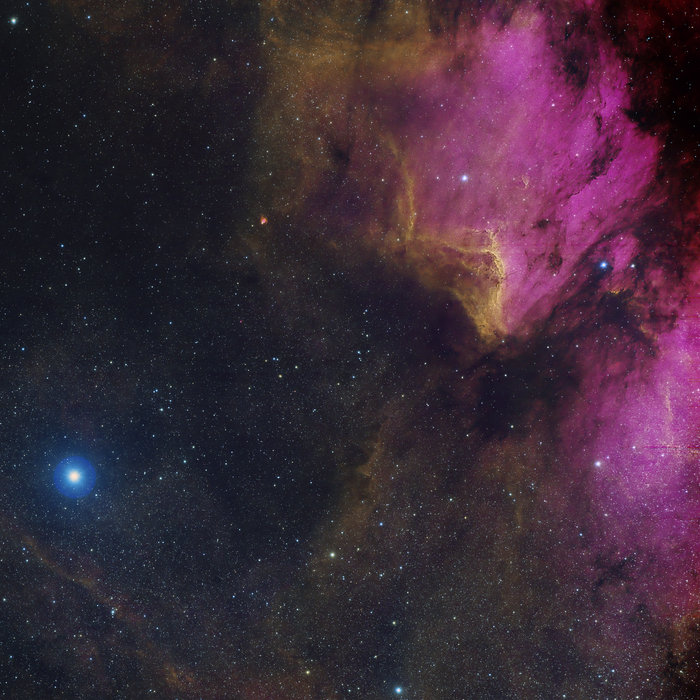 Damage Joy | Pfirter, Filip Xavi | MindTrip