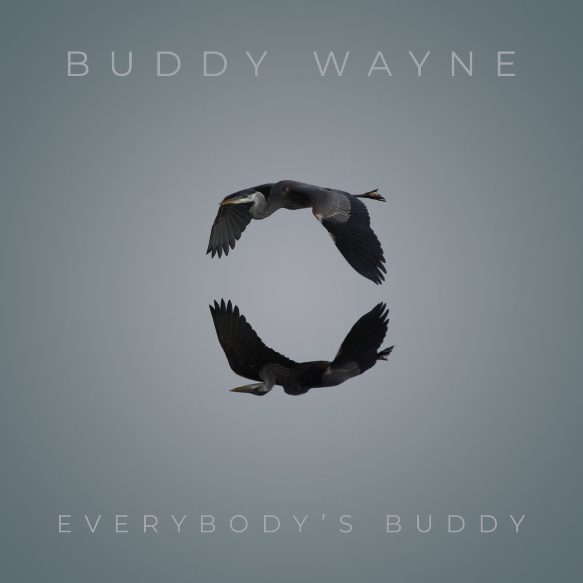 Everybody's Buddy | Buddy Wayne