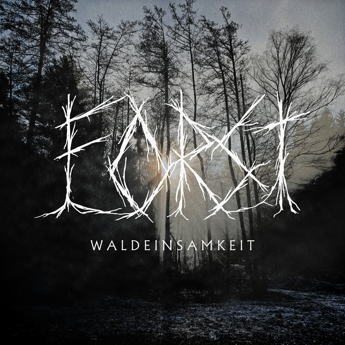Waldeinsamkeit (V) | FORST