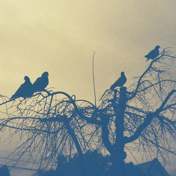 Rewinding work vol.2(circa2000s) | enzui