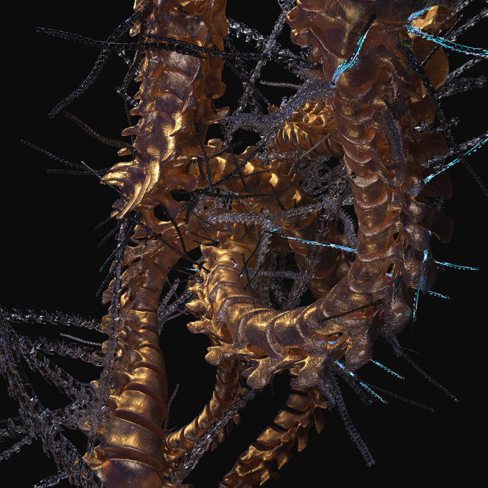 Catachrony part.1(Reengineered) | Augustin Braud, Colin Johnco ...