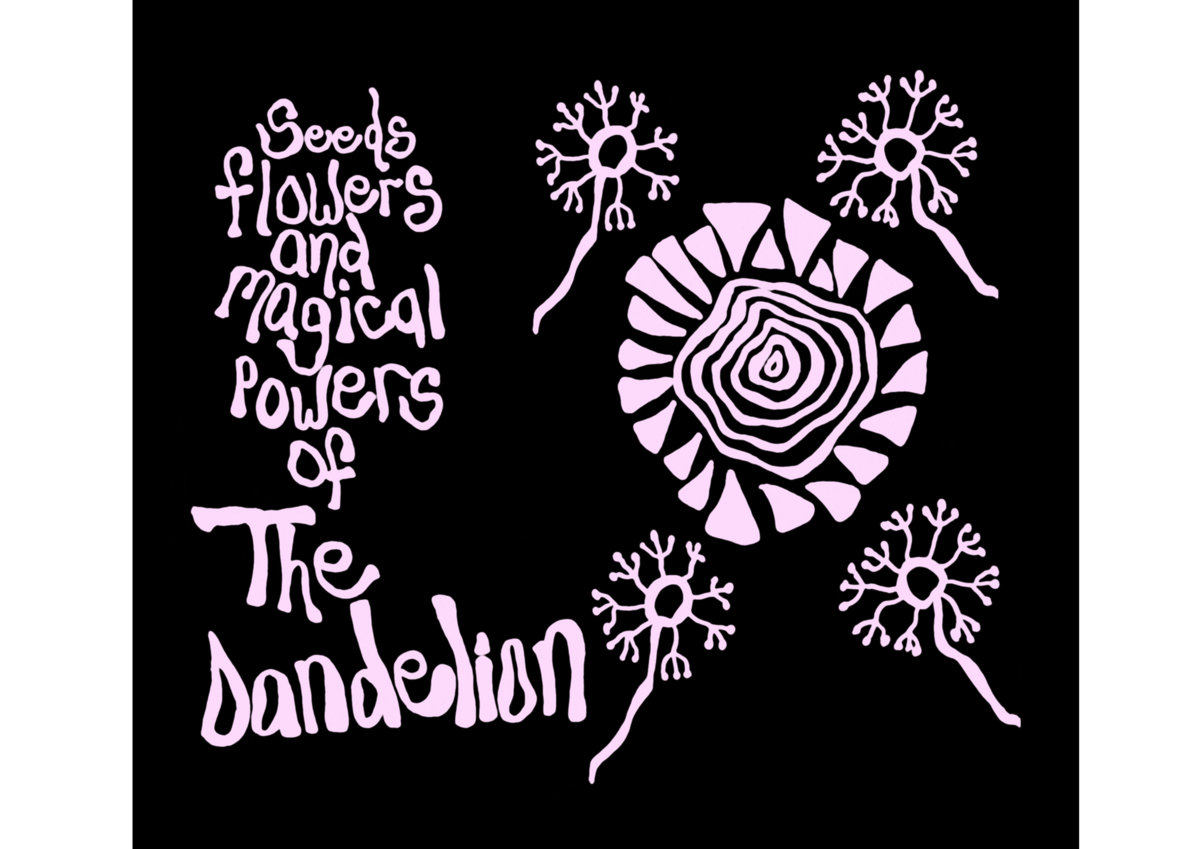 Seeds Flowers and Magical Powers of The Dandelion | The Dandelion