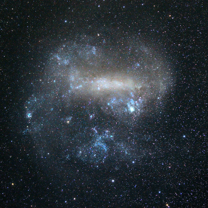 The First at Last | Client Kings