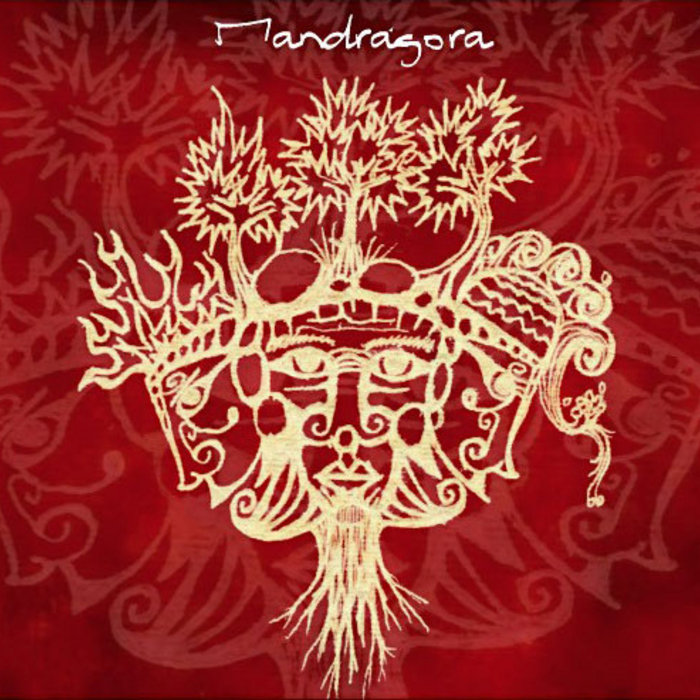 Mandrágora | Mandrágora