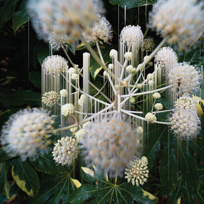 Color of Time II | Color of Time | Past Inside the Present