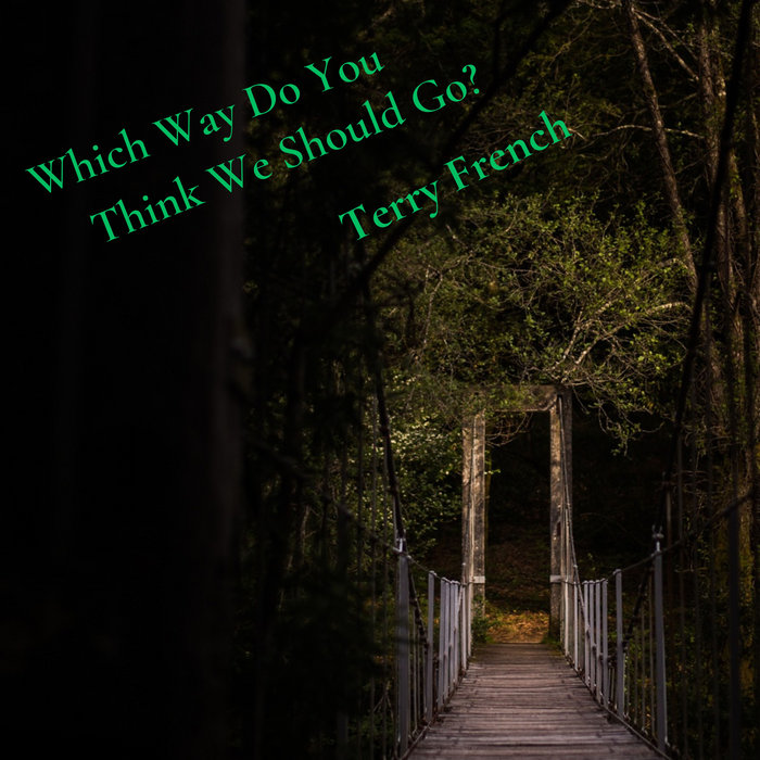 Which Way Do You Think We Should Go? | Terry French