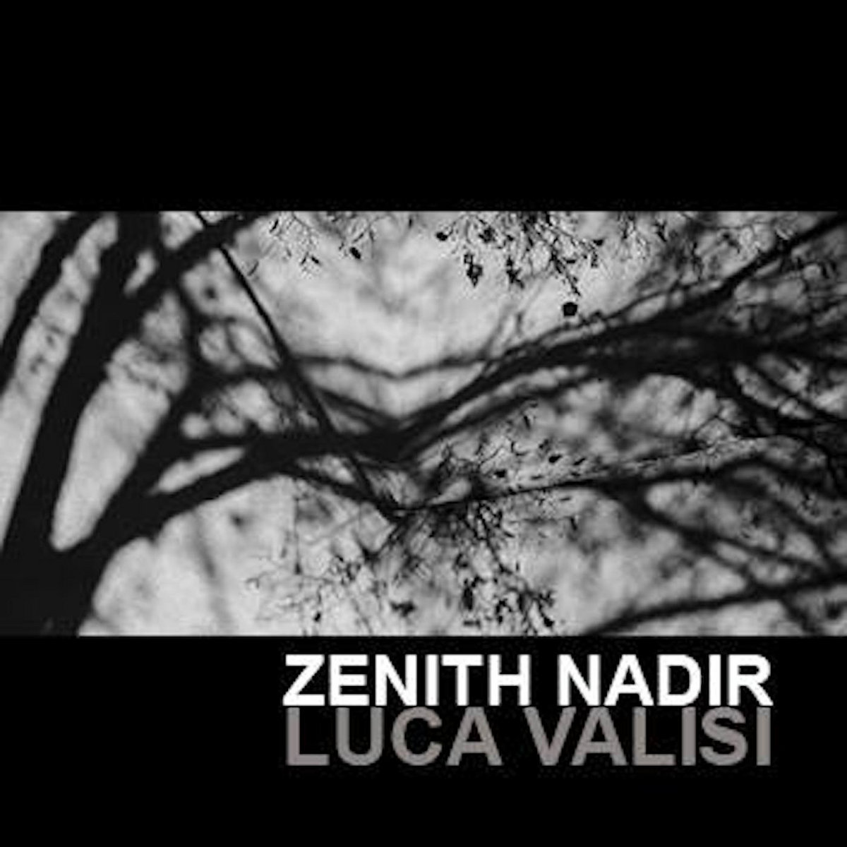 ZENITH NADIR | LUCA VALISI | BUNCH Records