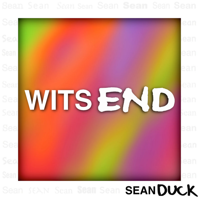 WITS END | Sean Duck