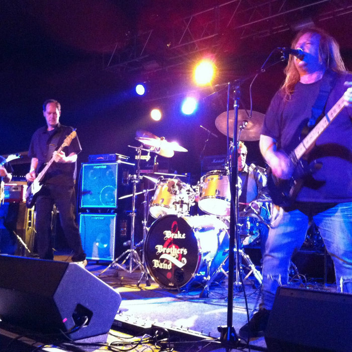 Leave me Alive | The Brake Brothers Band
