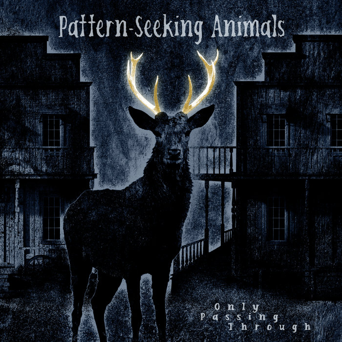 Only Passing Through (Bonus Tracks Edition) | Pattern-Seeking Animals ...