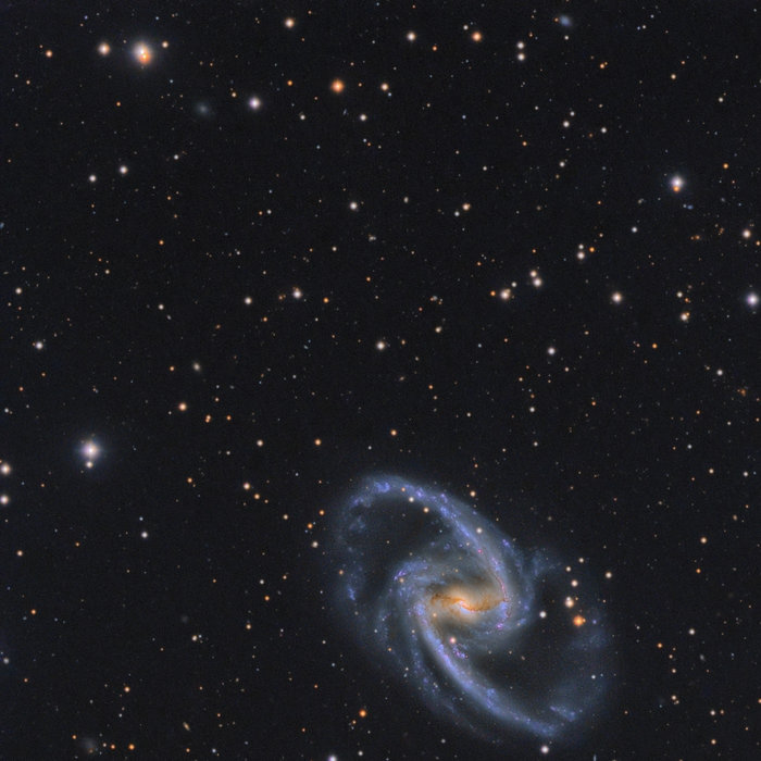 Series 2 | Joey Benjamin