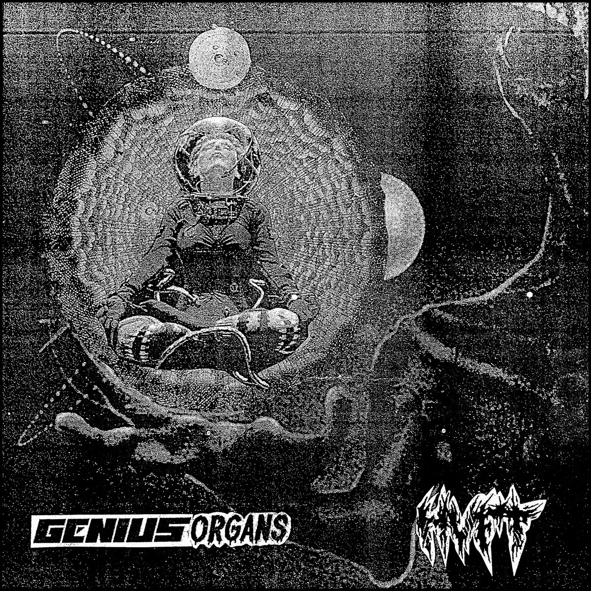 Fundamentals Of Quantum Noise | Genius Organs & HVFT | Torturewave