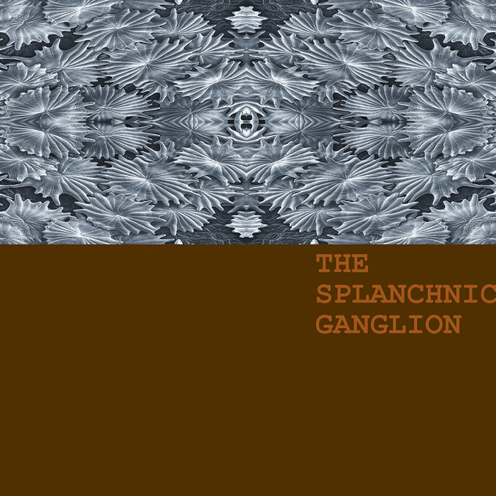 The Splanchnic Ganglion | The Splanchnic Ganglion | The Splanchnic Gangion