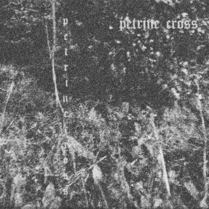 Demo | Petrine Cross | Liquid Library