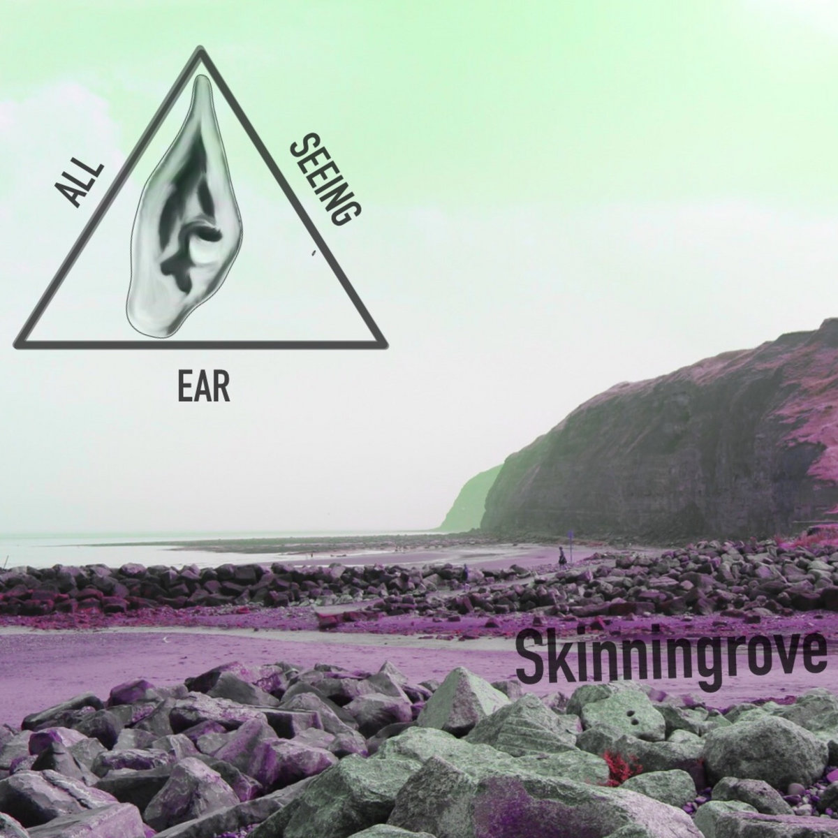 Skinningrove | All Seeing Ear | Red Nun Records